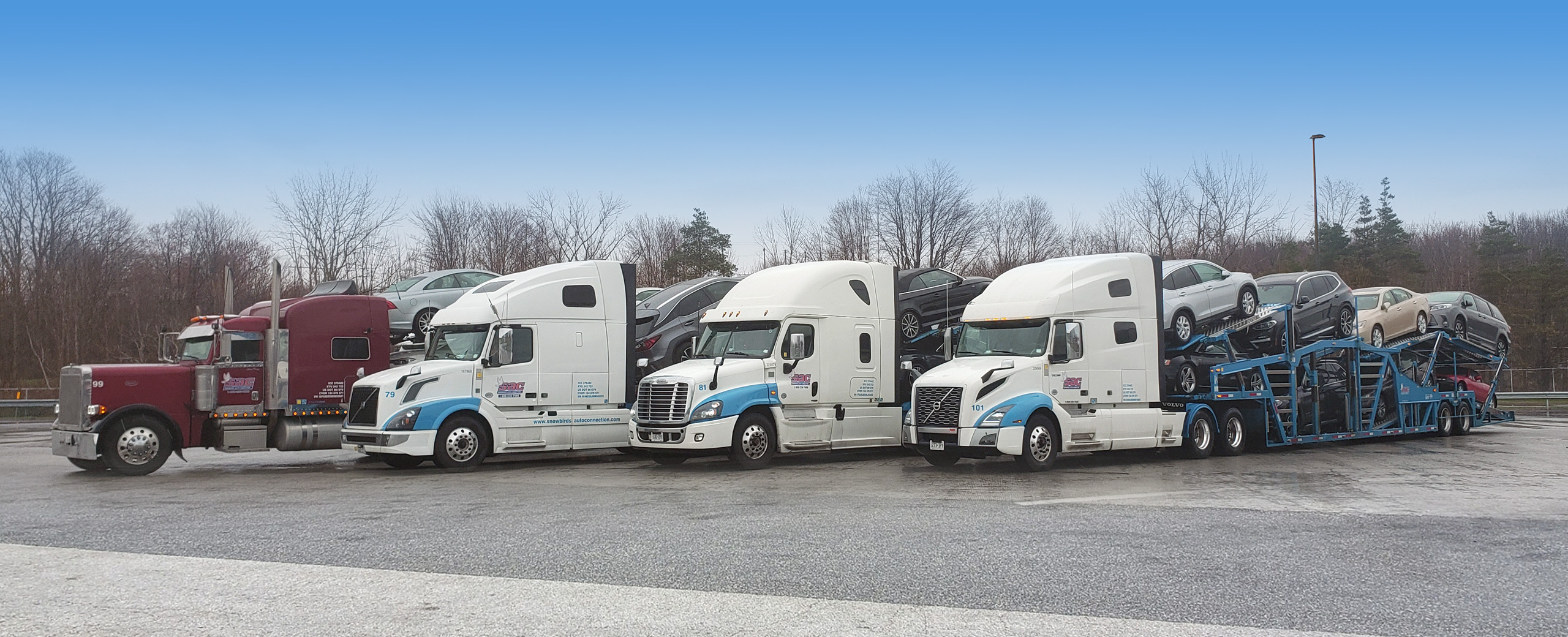 Best Car and Auto Shipping Company in Canada - Snowbirds Auto Connection